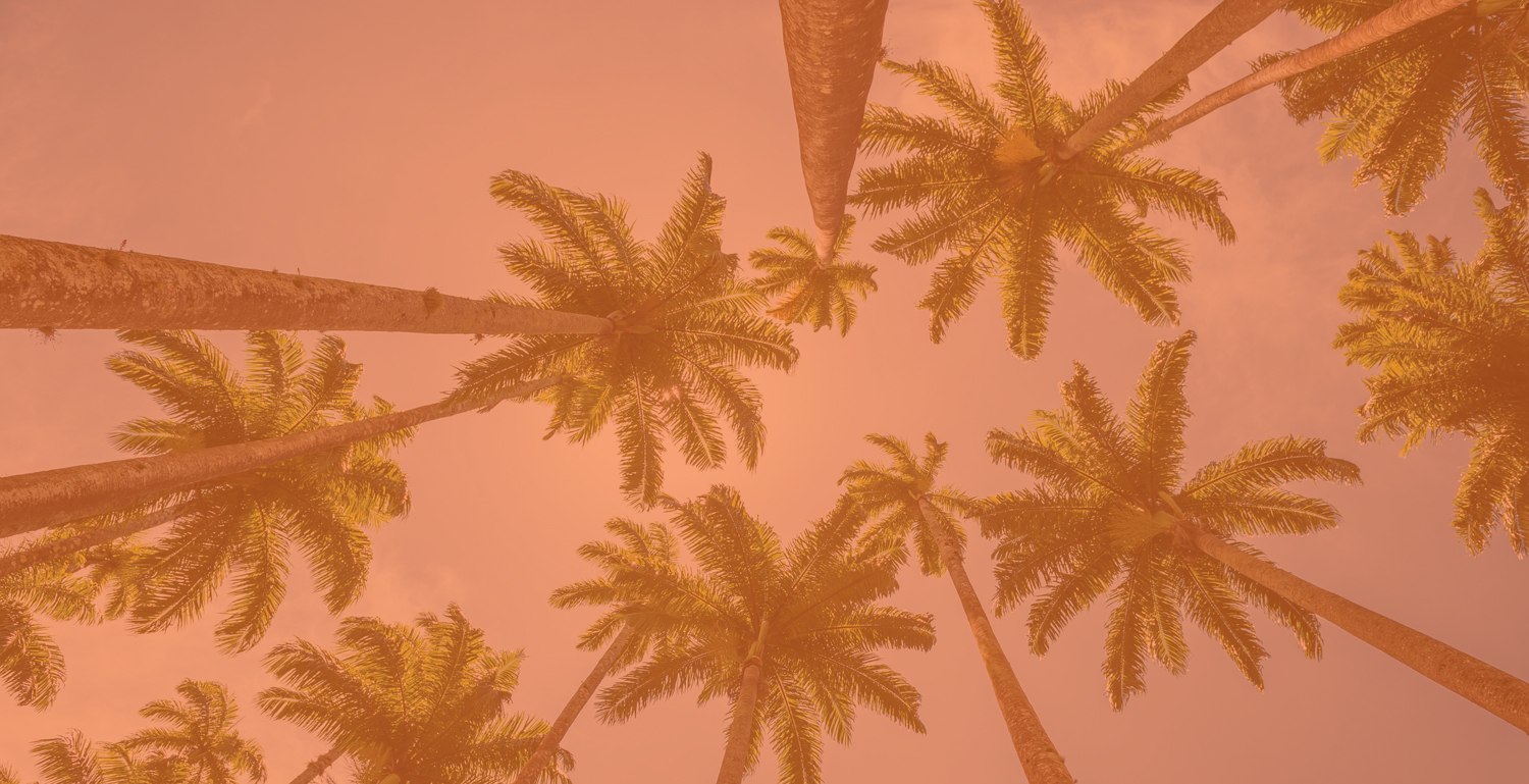 Sunshine Slam | Tip-Off the Season in the Sun