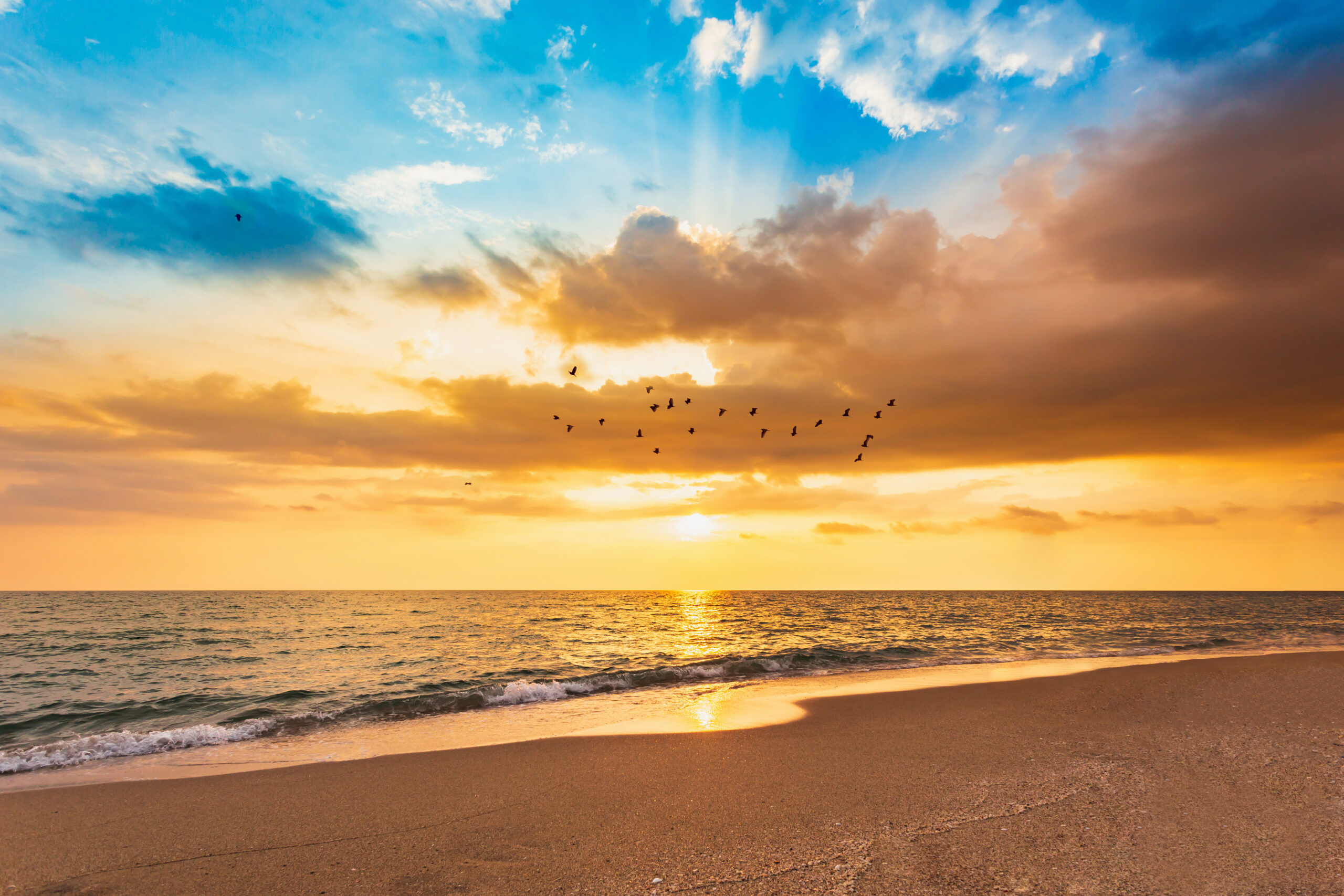 Sunshine Slam | Tip-Off the Season in the Sun